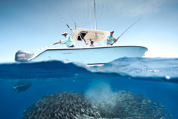 Discover the Hidden Wonders of the Red Sea with Nile Horizons: Hurghada ...